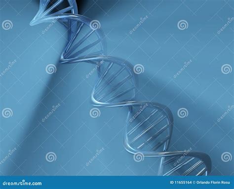 De Structuur Van Dna Stock Illustratie Illustration Of Microscopisch 11655164