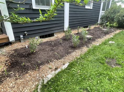 My Garden Plot Previously Turf Created W So Much Help From This