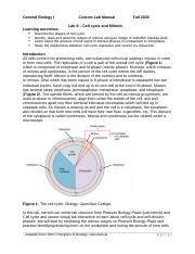 BIOL Custom Lab VIRTUAL Cell Cycle And Mitosis Lab Docx General Biology I Learning