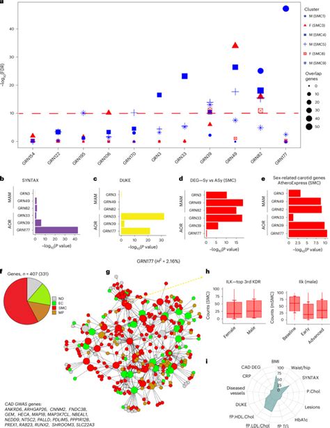 Single Cell Rna Sequencing Reveals Sex Differences In The Subcellular