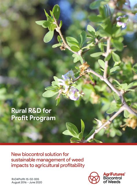New Biocontrol Solution For Sustainable Management Of Weed Impacts To