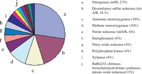 Figure 3 From Oligonucleotide Based Functional Gene Arrays For Analysis Of Microbial Communities