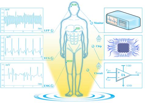 Analog Front End Input Impedance Boosting Techniques For Bio Potential Monitoring—a Review
