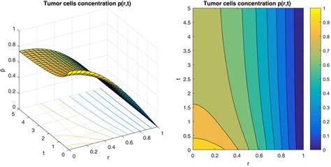 Case A Tumor Cells At Carrying Capacity Download Scientific Diagram