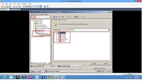 Remote Infrastructure Management Hp Data Protector Integration With