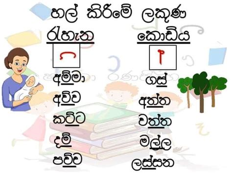 දැනුම් සයුර පිල්ලම් හදුනාගමු💚💚