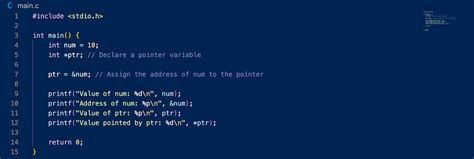 pointers in c programming language by makhlug jafarov mar 2024