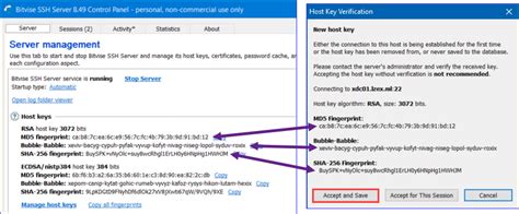 How To Set Up A Bitvise Ssh Server Step By Step