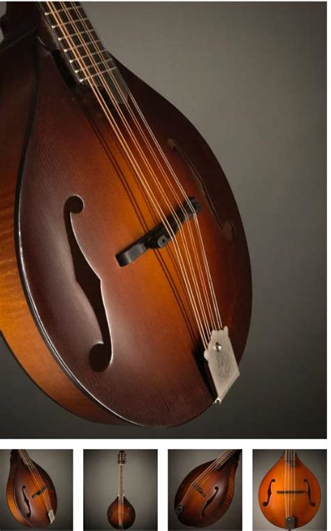 The Wavelength Octave String Sets Mandolin Cafe