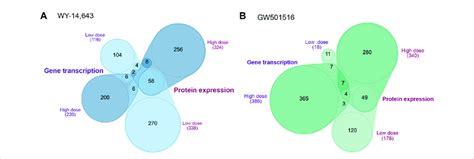 Quasi Proportional Venn Diagram Of Shared Differentially Expressed Download Scientific Diagram