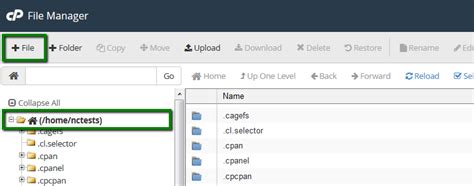 Password Protect Directory In Cpanel