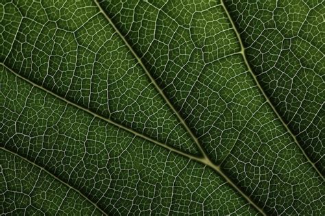 Premium Photo Textile Repeat Pattern Of Green Leaf
