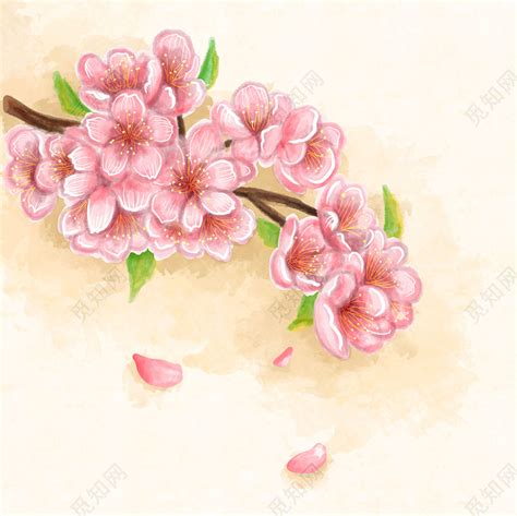 花卉画桃花 花卉画 大山谷图库