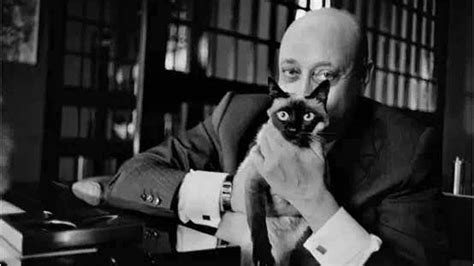 45家影院51块银幕，上海电影节观影指南时讯看看新闻网