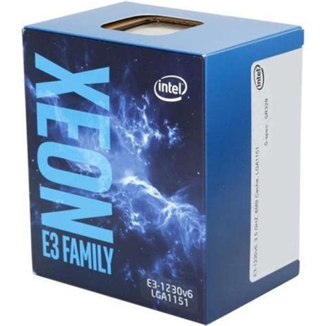 Intel® Xeon® Processor E3 1230 V6 Vsc Store
