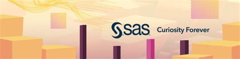 john stultz sas linkedin