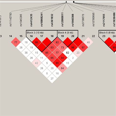 Haplotype Block Map Of Block 7 Defined Manually Download