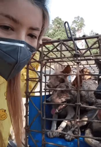 សរសើរទឹកចិត្ត សុខ ពិសី ចំណាយថវិកាផ្ទាល់ខ្លួន ជួយសត្វទាំងនេះរួចពីស្លា ប់ មានវីដេអូ Khmerload