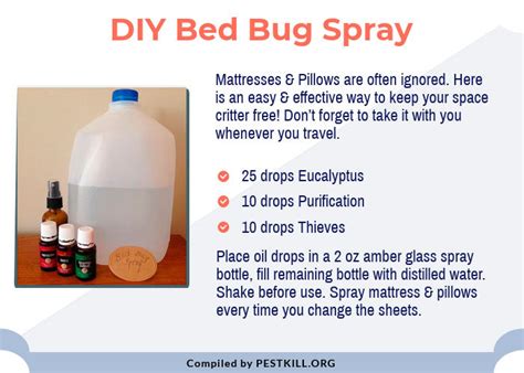 Diy Bed Bugs Extermination