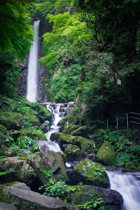 緑に囲まれた養老の滝の写真素材 ぱくたそ