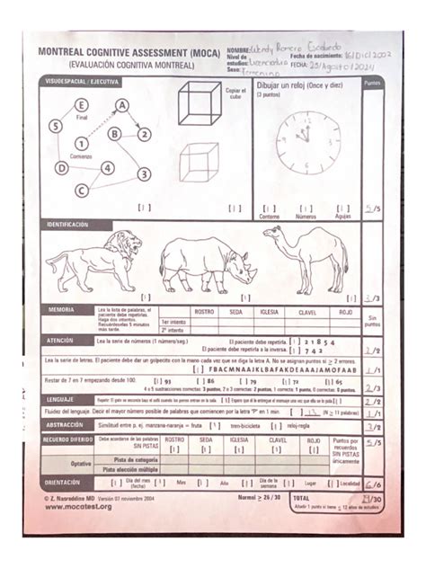 Montreal Cognitive Assessment Moca Pdf