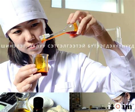 Монголд хонины сүүл жамц давстай саван үйлдвэрлэж эхэлжээ