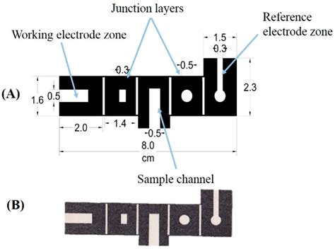 An All In One Solid State Thin Layer Potentiometric Sensor And Biosensor Based On Three