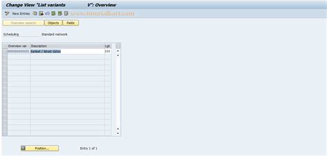 OPUY SAP Tcode Overview Variants Standard Ntwrk Scheduling