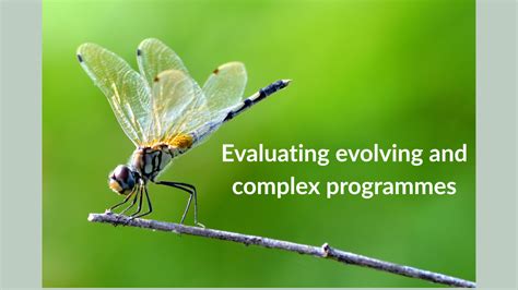 Evaluating Complex And Evolving Programmes