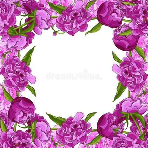 Frame With Pink Pionies Leaves Buds Flower Frame Floral Motif