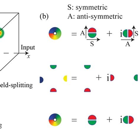 Pdf Self Imaging Of Orbital Angular Momentum Oam Modes In