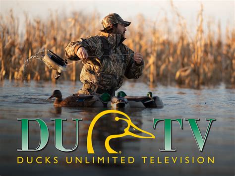 Ducks Unlimited Wallpaper