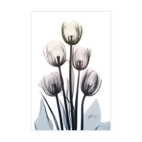 Albert Koetsier Radiographic Tempered Glass Art Touch Of Modern