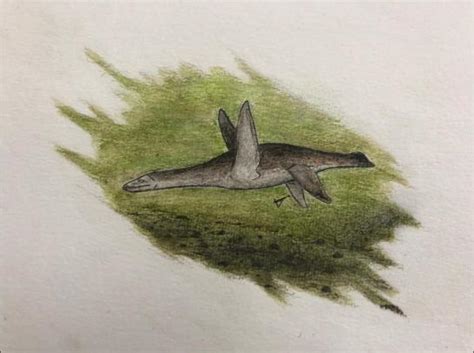 Kawanectes By Dinoworms On Deviantart