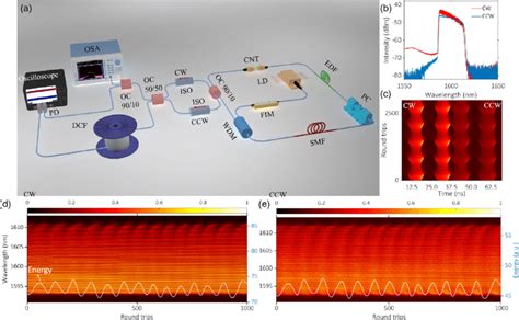 Dynamics Of Stable Bidirectional BSM A Schematic Diagram Of The Download Scientific Diagram