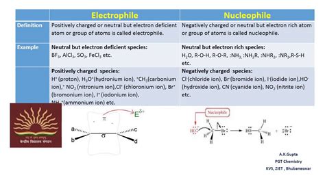 Differences Between Electrophile And Nucleophile YouTube