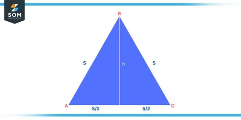 Equiangular Triangle Definition And Meaning