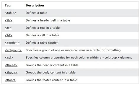 Ultimate Html Basic Fundamental Guide For Beginners Nicole C W