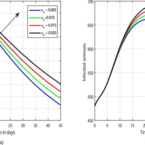 Representation Of The Time Series Of The Infected Individuals Of The