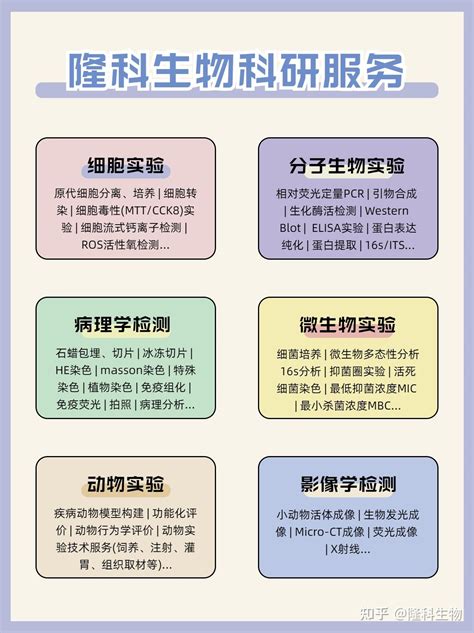 从伤口到愈合，细胞划痕实验如何助力关键研究？ 知乎