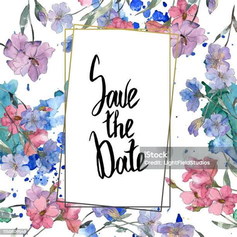 분홍색과 보라색 아마 꽃 식물 꽃입니다 수채화 배경 그림 집합입니다 프레임 테두리 장식 광장 0명에 대한 스톡 벡터 아트 및 기타 이미지 Istock