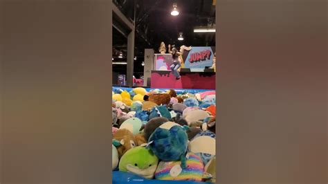 Jumping Into A Squishmallow Pit Youtube
