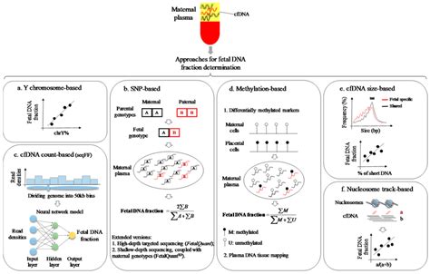 Schematic Illustration Of Current Approaches For The Determination Of
