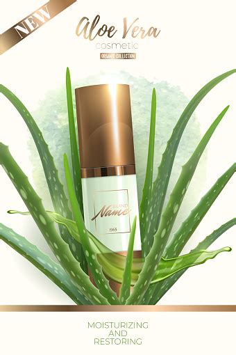 카탈로그 잡지에 대 한 미용 제품에 대 한 광고 포스터 디자인 화장품 패키지 디자인입니다 크림 젤 바디 로션 알로에 베라 추출 물과 보습 고립 된 개체와 벡터 일러스트 레이