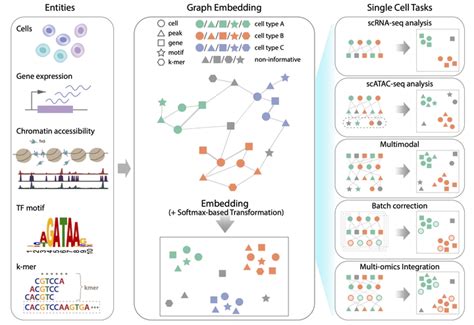 Simba Single Cell Embedding Along With Features Huidong Chen