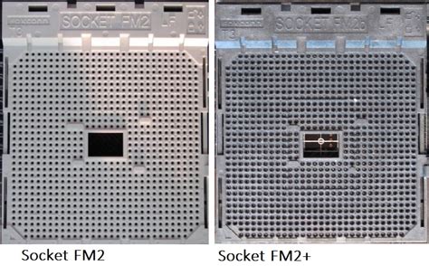 Amd Fm2 Socket For Kaveri Apu Is Backward Compatible With Trinity And Richland