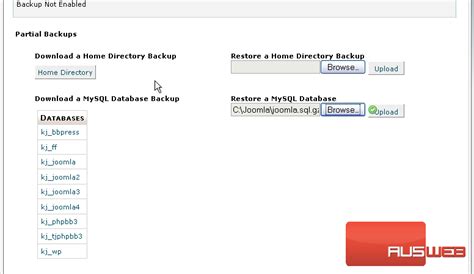 Restore A Joomla Backup Made With Cpanel Web24