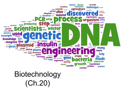 Introduction To Biotechnology