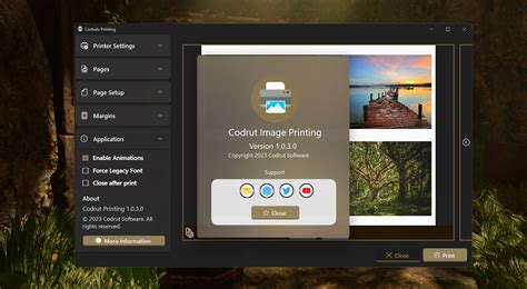 Github Codraxcodrut Printing A Semi Advanced Printing Dialog For