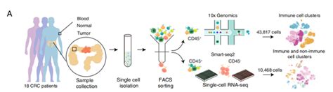 单细胞转录组测序解析结肠癌骨髓靶向治疗的机制 知乎
